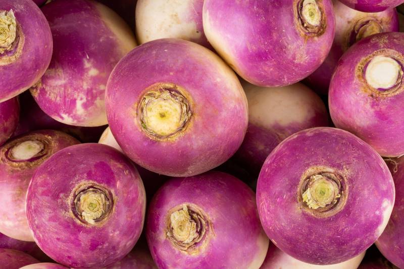 La Rave (ou Navet violet) - Mon Marché