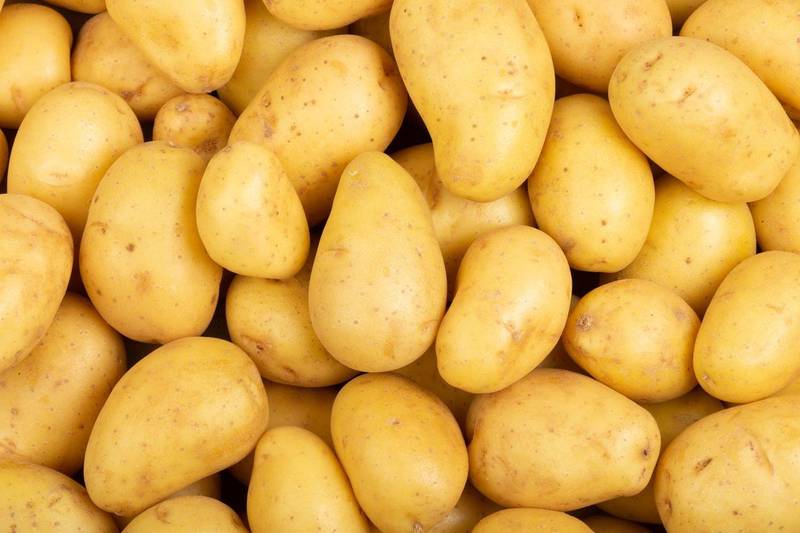 La Pomme de terre primeur - Mon Marché