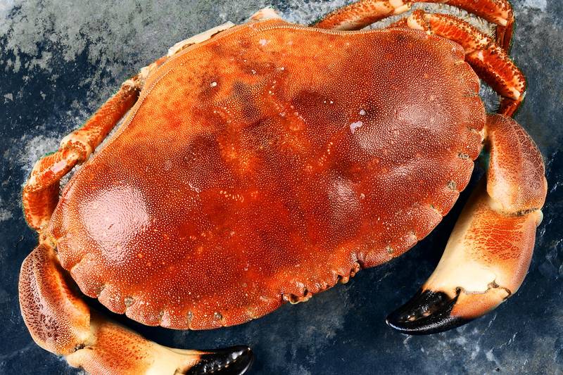 Le Tourteau cuit entier - Mon Marché