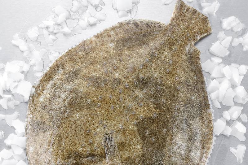 Le Turbot sauvage - Mon Marché