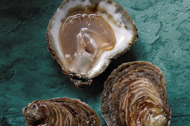 Les 12 Huîtres plates de Belon N°00 - Mon Marché