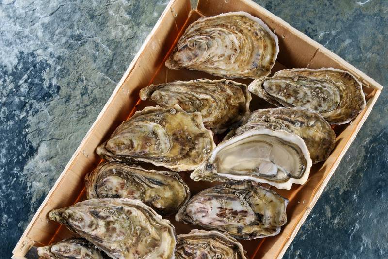 Les 12 Huîtres spéciales de claire de Vendée à cuisiner n°2 - Mon