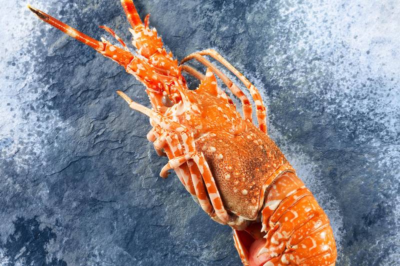 La Langouste entière cuite - Mon Marché