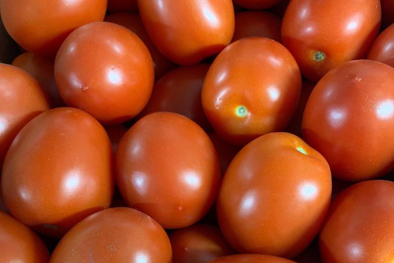 La Tomate Roma HVE - mon-marché.fr